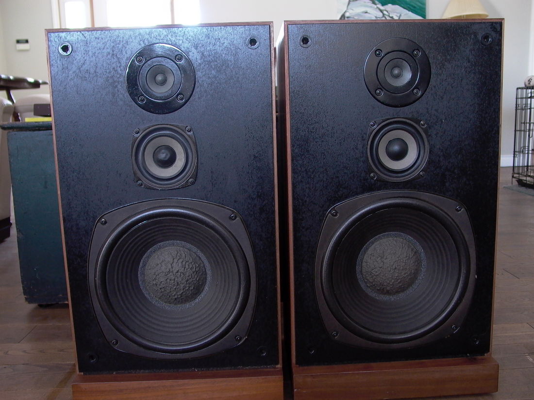 REALISTIC OPTIMUS 25 A PAIR OF GEMS AITTING IN STORAGE FOR 30_ YEARS ...
