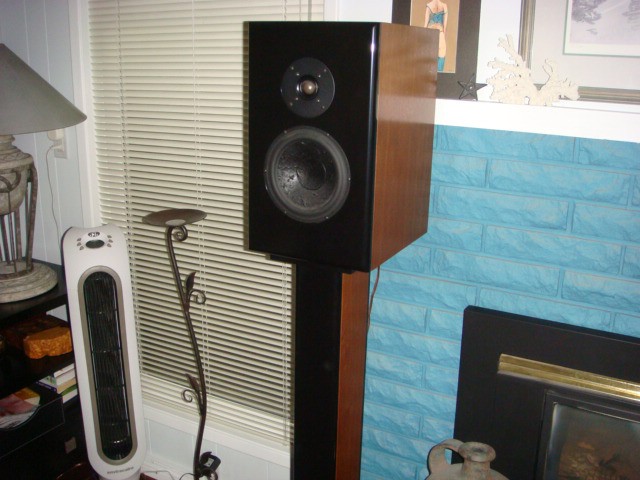 Usher 701 speaker custom made For Sale - Canuck Audio Mart