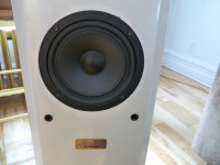 Atlantis Acoustique Esterel For Sale - Canuck Audio Mart