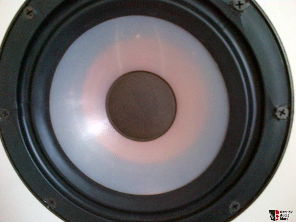 Camber Laser 7 Speakers Photo #1011467 - US Audio Mart