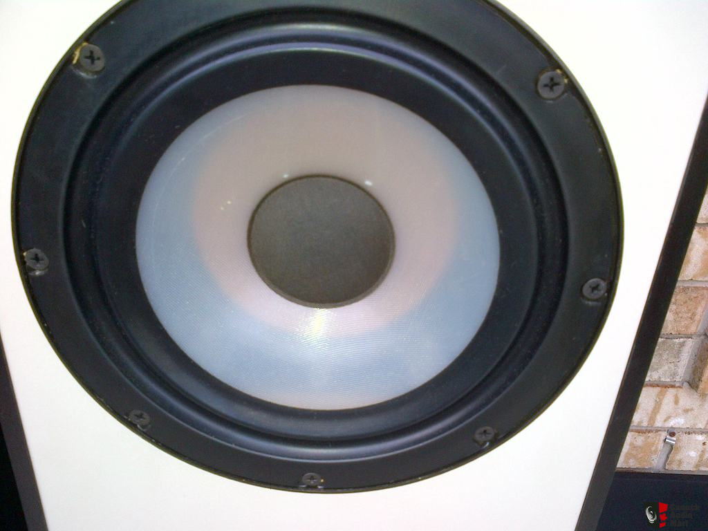 Camber Laser 7 Speakers Photo #1011142 - US Audio Mart