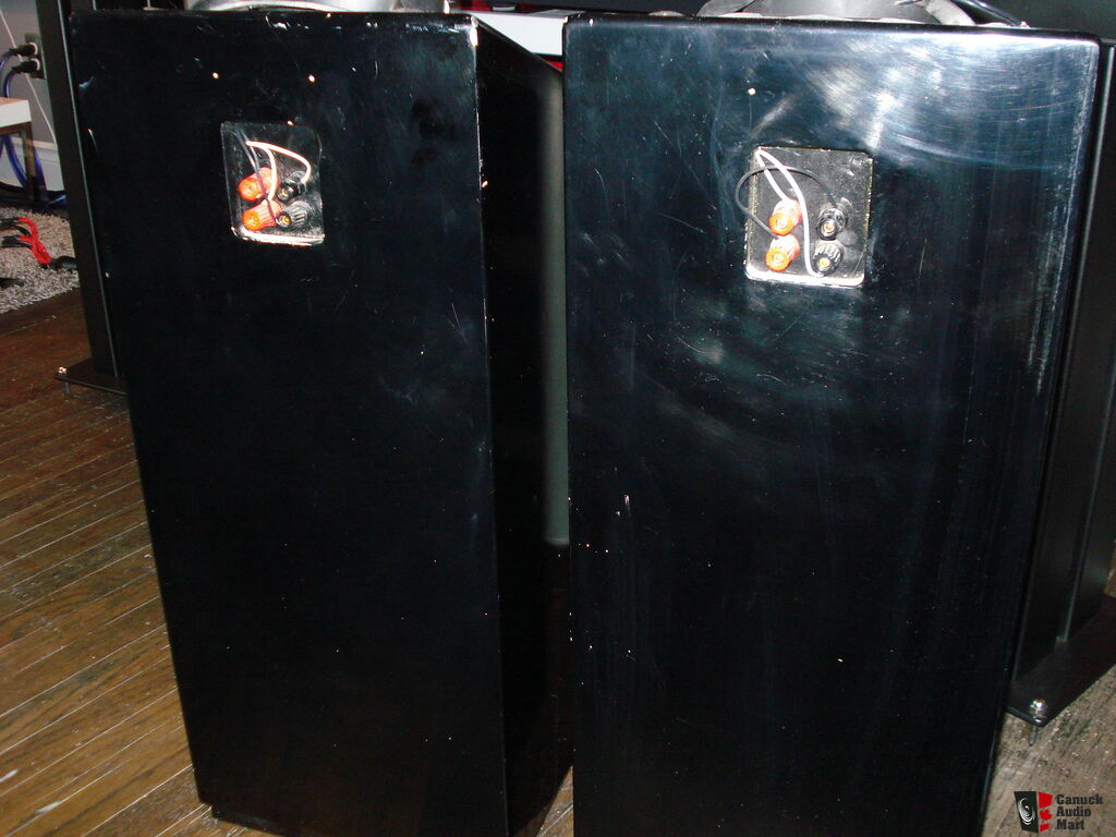 Famous Morrison Audio omni directional floor standing speakers ...