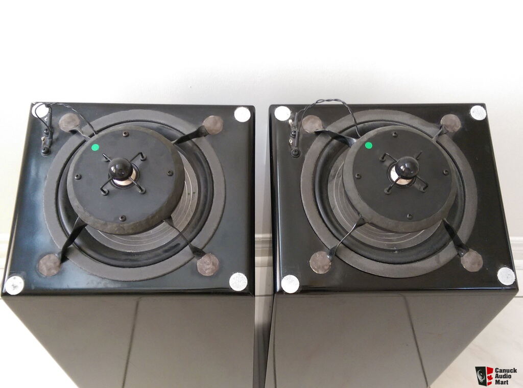 Morrison Audio Model 1 Speakers Photo #1029152 - Canuck Audio Mart