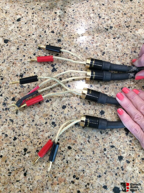 High end custom 33' long speaker cables For Sale - Canuck Audio Mart