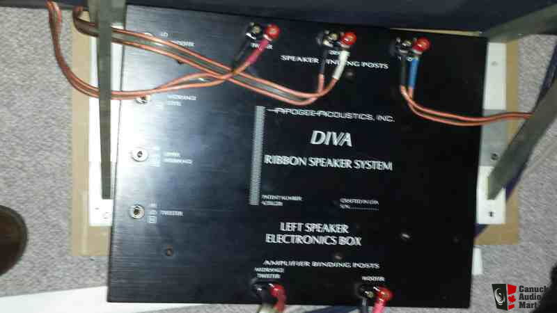 Apogee Diva Ribbon Speakers Photo #1051524 - US Audio Mart
