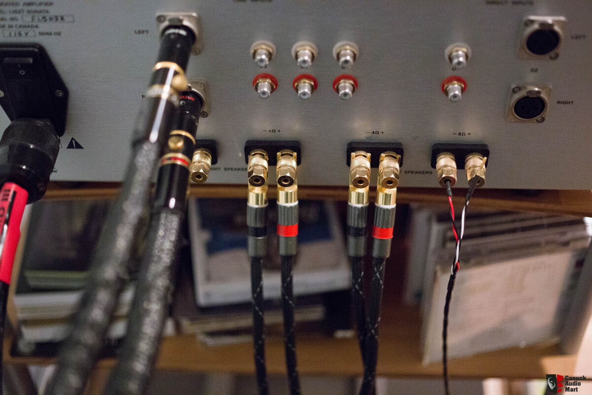 Focus Audio Liszt Sonata