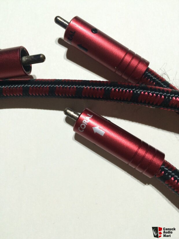 AudioQuest Coral audio interconnects 1m (pair) Photo #1068491 - UK ...