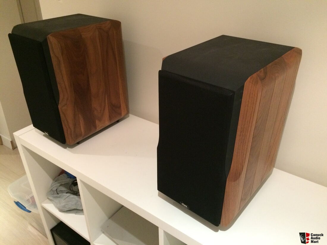 Chario Constellation Delphinus Photo #1083224 - UK Audio Mart
