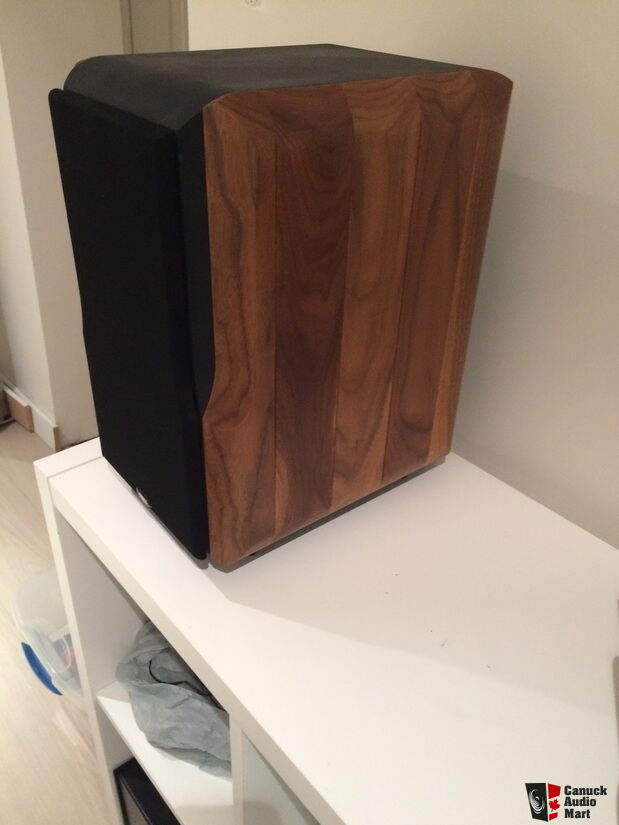 Chario Constellation Delphinus Photo #1083224 - UK Audio Mart