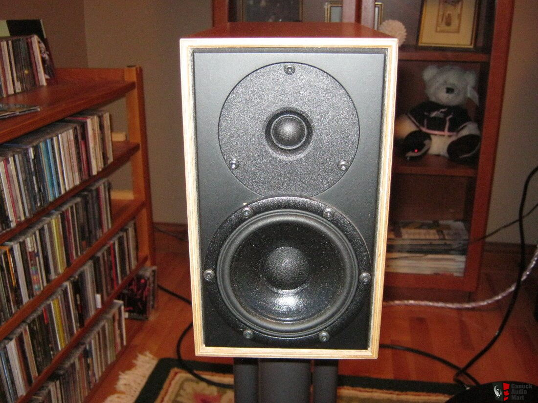 Penaudio Rebel 3 Monitors Photo #1114975 - US Audio Mart