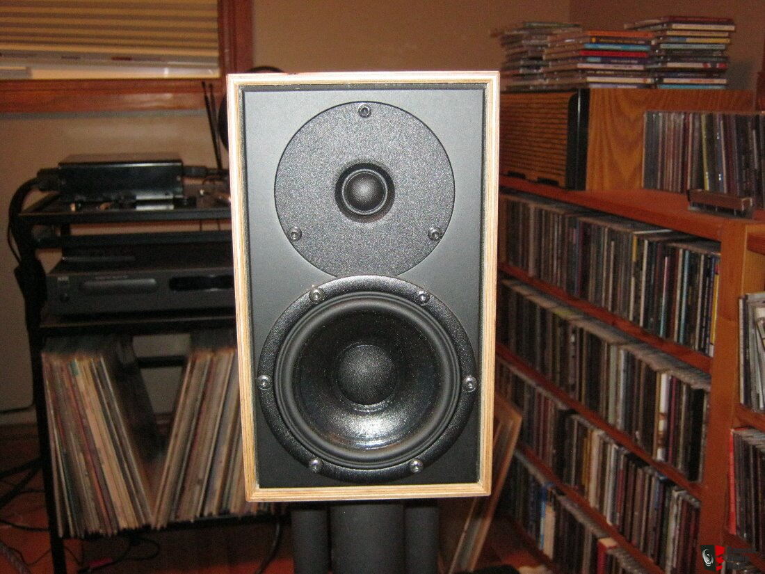 Penaudio Rebel 3 Monitors Photo #1114975 - US Audio Mart