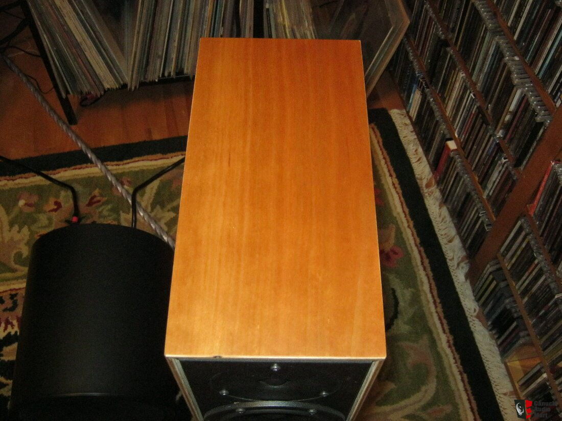 Penaudio Rebel 3 Monitors Photo #1114975 - US Audio Mart