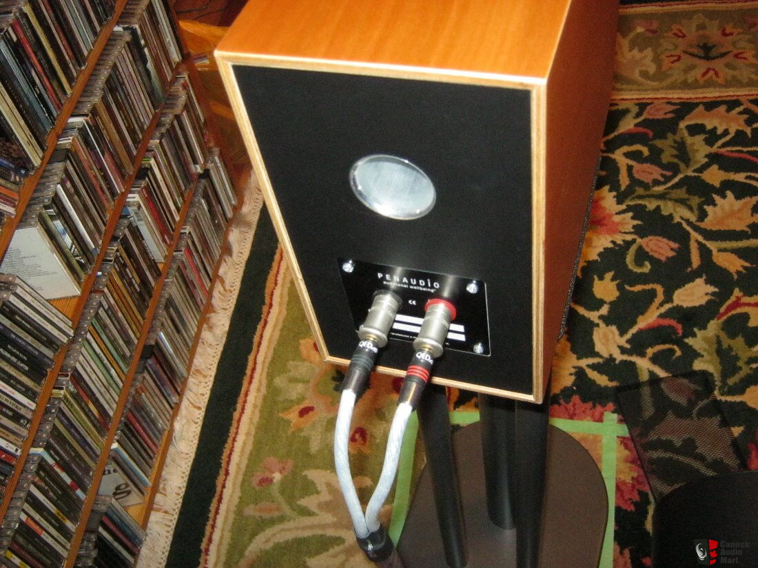 Penaudio Rebel 3 Monitors Photo #1114975 - US Audio Mart