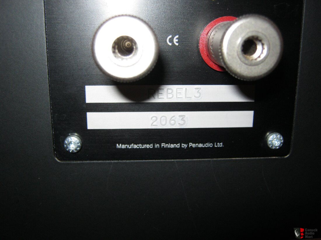 Penaudio Rebel 3 Monitors Photo #1114975 - US Audio Mart