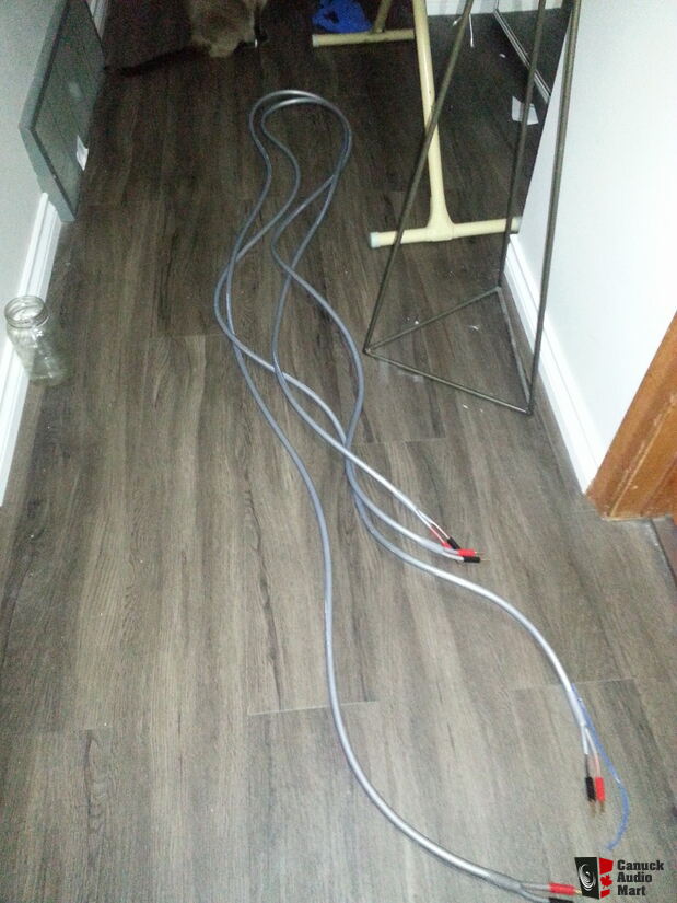 Ultralink Excelsior 12gauge speaker cable 12' pr For Sale - Canuck ...