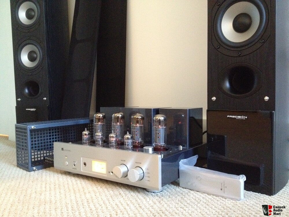Modern Tube Amp EL34 with Precision HD45 speakers Photo #1123551 ...