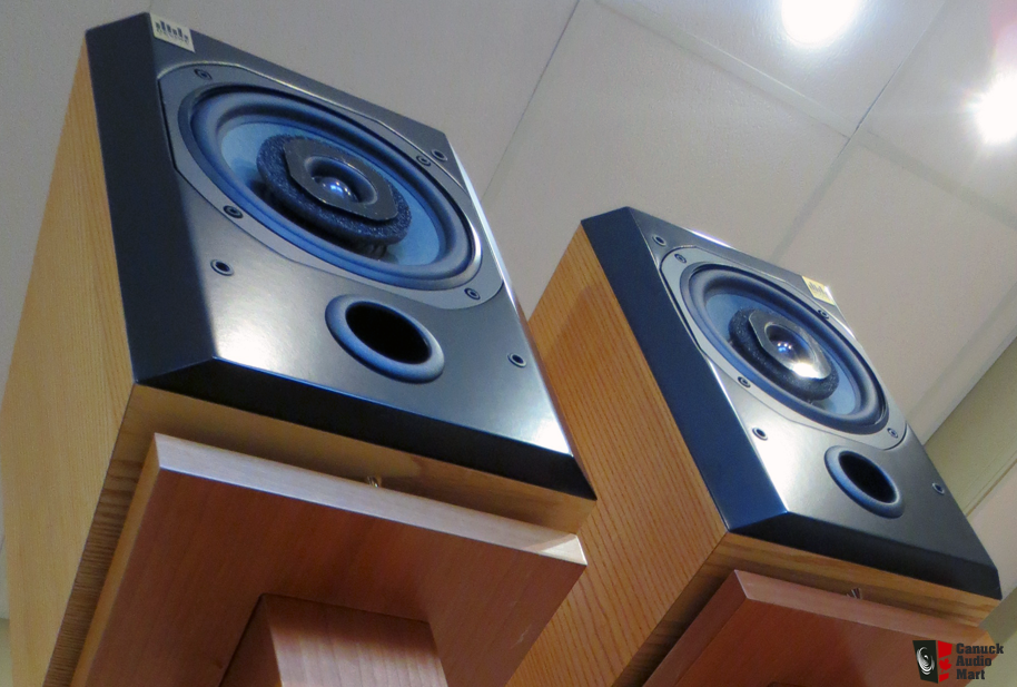 Devine Audio Reference monitors Photo #1124054 - Canuck Audio Mart