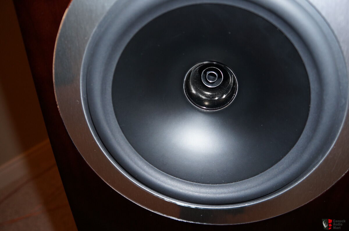 Tannoy Definition DC8T Photo #1137100 - Canuck Audio Mart