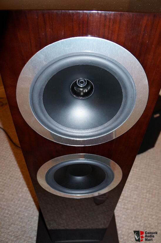Tannoy Definition DC8T Photo #1137100 - Canuck Audio Mart