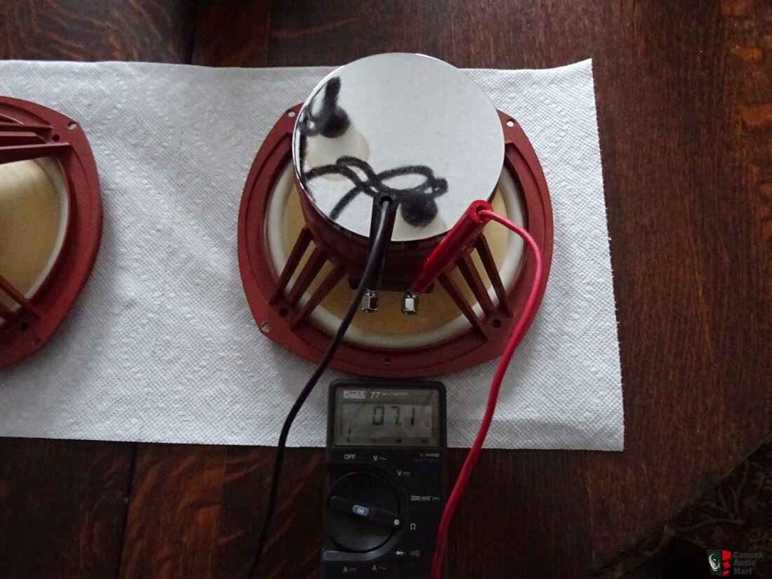 Coral Beta 8's - Full Range, Crossoverless, Drivers Photo #1145562 - US ...