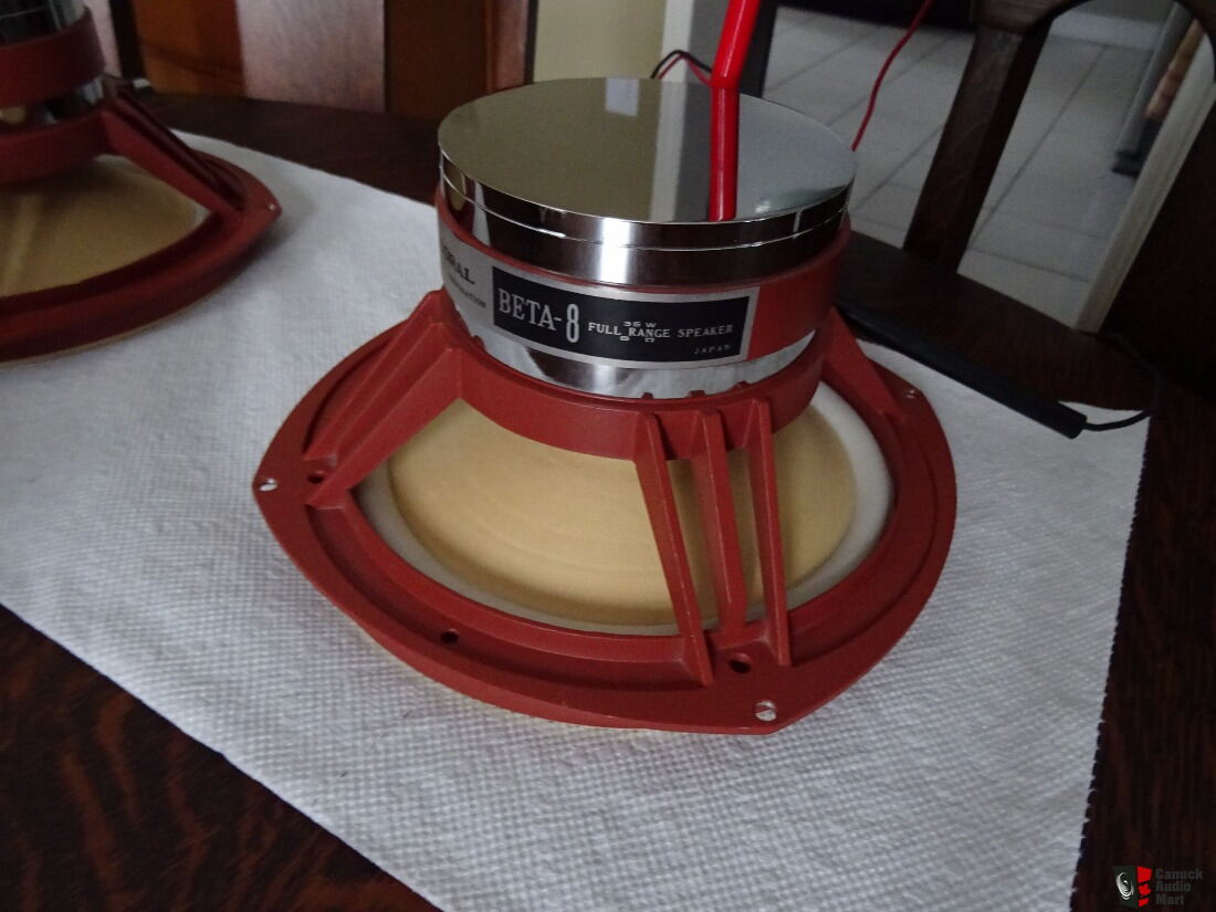Coral Beta 8's - Full Range, Crossoverless, Drivers Photo #1145566 - US ...