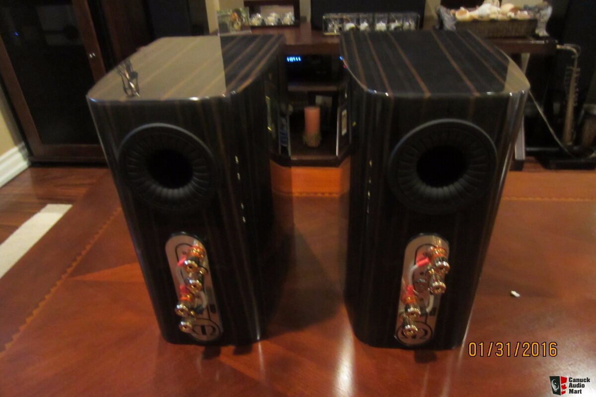 Monitor Audio GX50 (Ebony) (Updated Price) Photo #1148313 - US Audio Mart