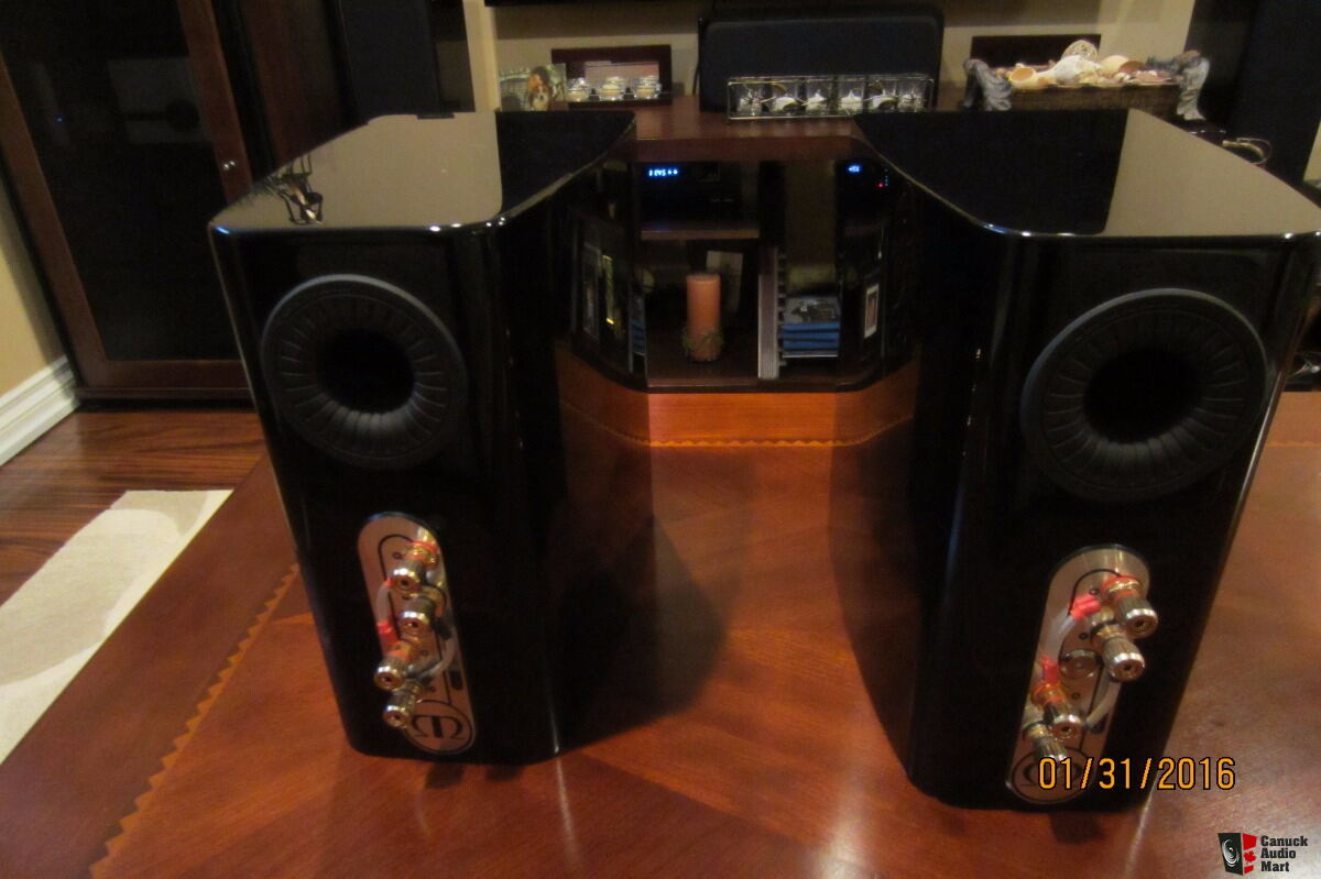 Monitor Audio GX50 (Black) (Updated Price) Photo #1148319 - US Audio Mart