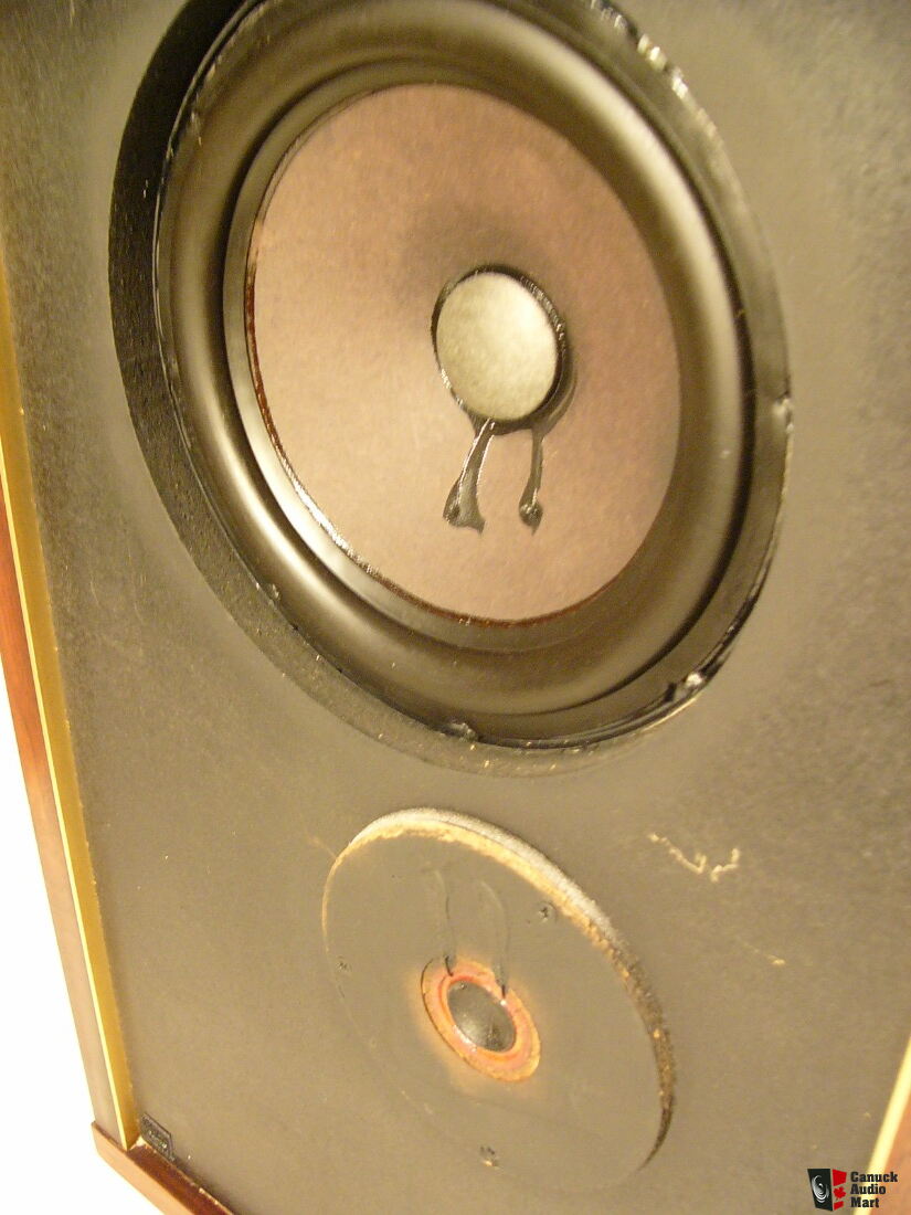 Vintage EPI-Epicure M202 Speakers - Excellent Condition Photo #1152582 ...