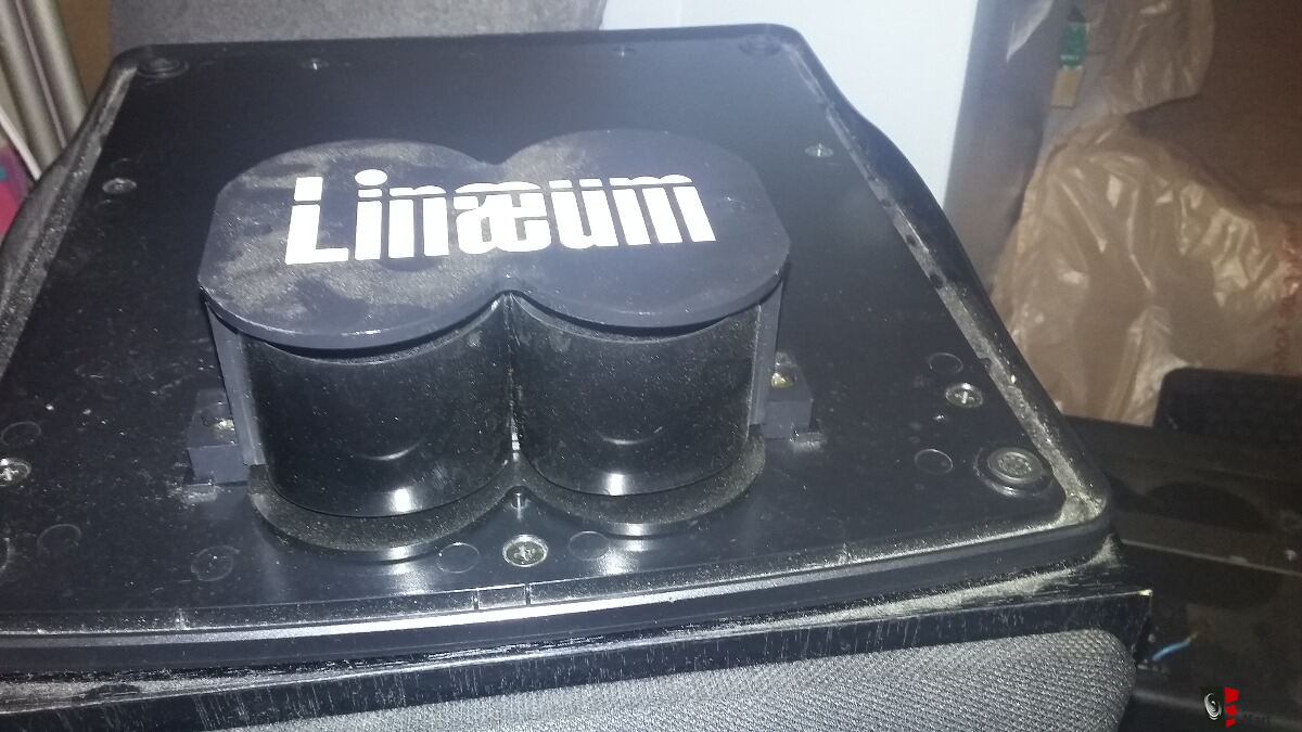 Linaeum by Radio shack, Optimum Pro LX8 8 inch woofer Photo #1157359 ...