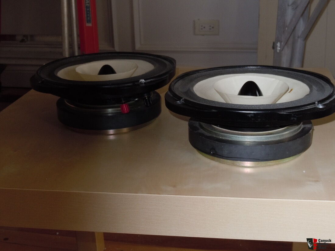 LOWTHER PM2C full range speaker drivers