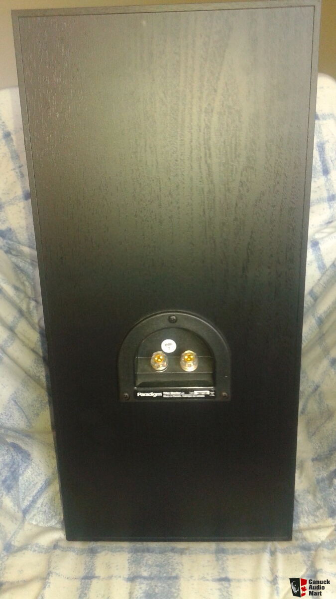 Paradigm Titan Monitor V5 Photo #1170232 - US Audio Mart