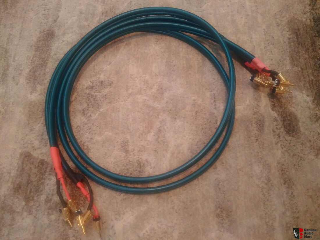 WireWorld Atlantis III Speaker Cable 6' Pair with WBT locking Bananas ...