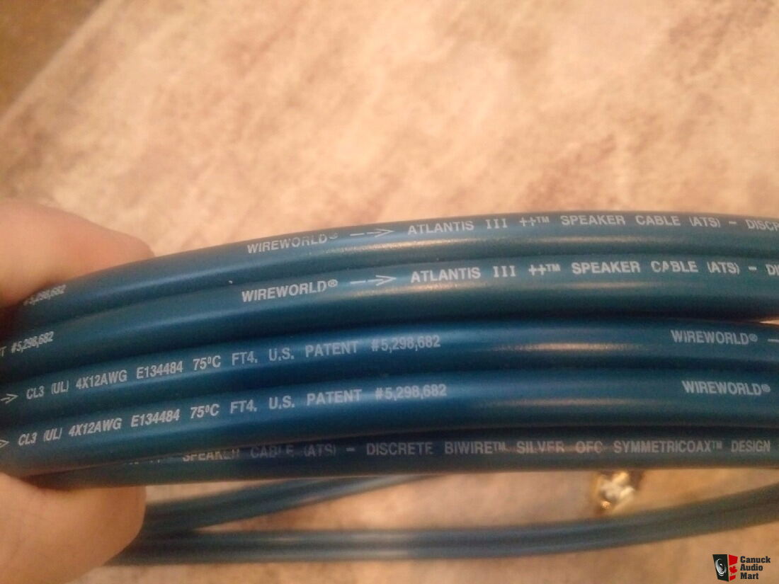 WireWorld Atlantis III Speaker Cable 6' Pair with WBT locking Bananas ...