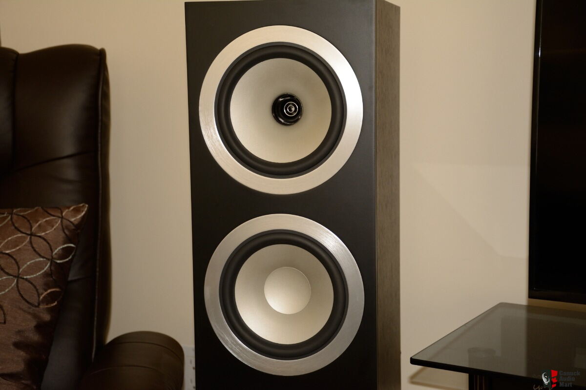 Tannoy Saturn DC8 Ti pair with dark walnut finish Photo #1200190 - US ...