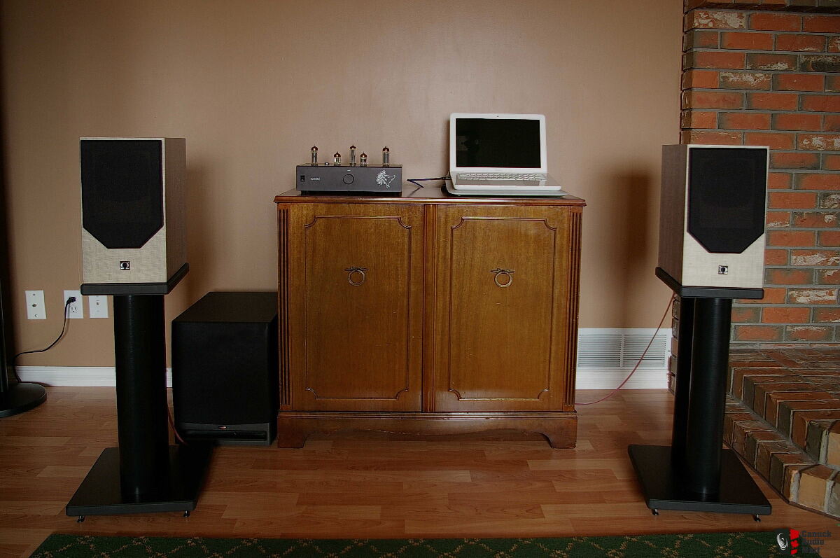 Wolf Ear Audio Kitoki SET amplifier Photo #1201870 - Canuck Audio Mart