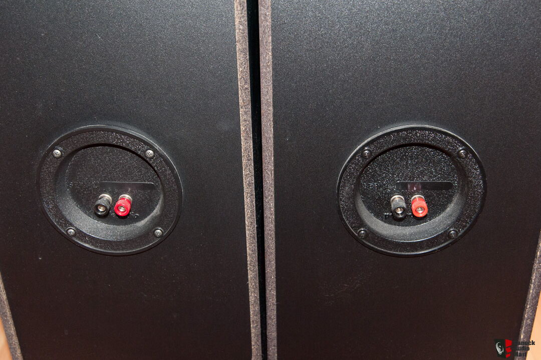 Polk Audio RTA 11T Speakers Photo #1207320 - Canuck Audio Mart