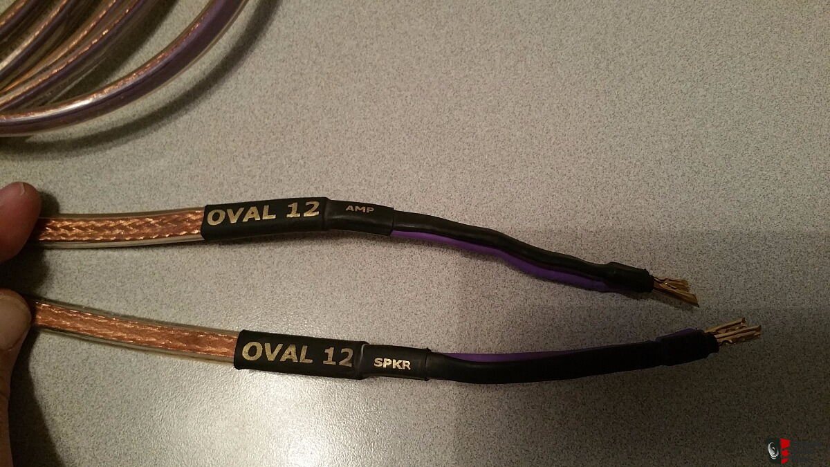 Analysis Plus Oval 12 Photo #1208419 - Canuck Audio Mart
