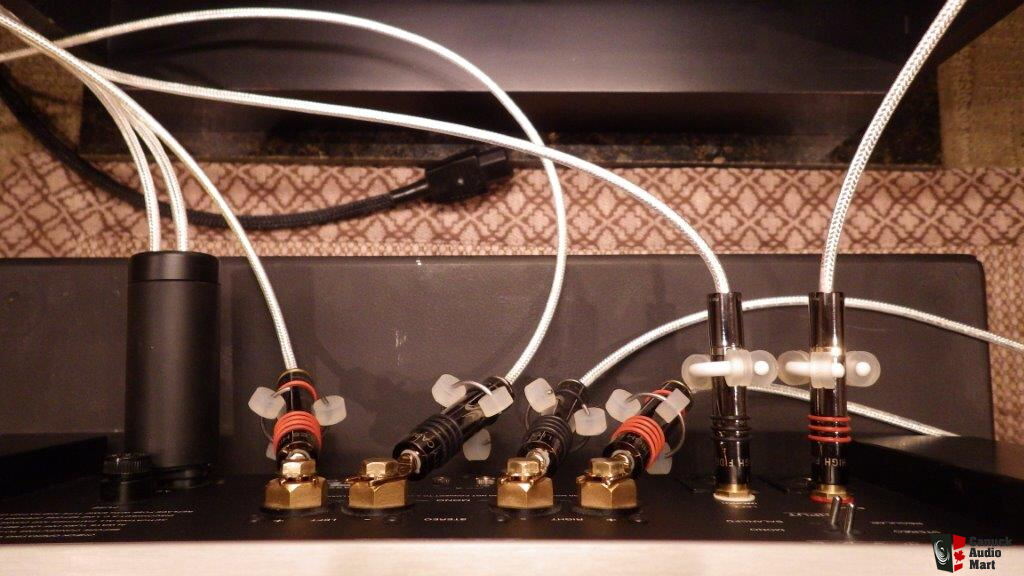 Classe CA-301 Photo #1215450 - Canuck Audio Mart