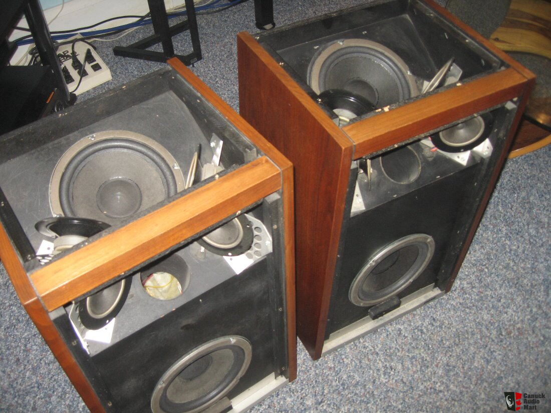 Vintage Bose 601 Speakers- All New Surrounds on Drivers Photo #1219883 ...