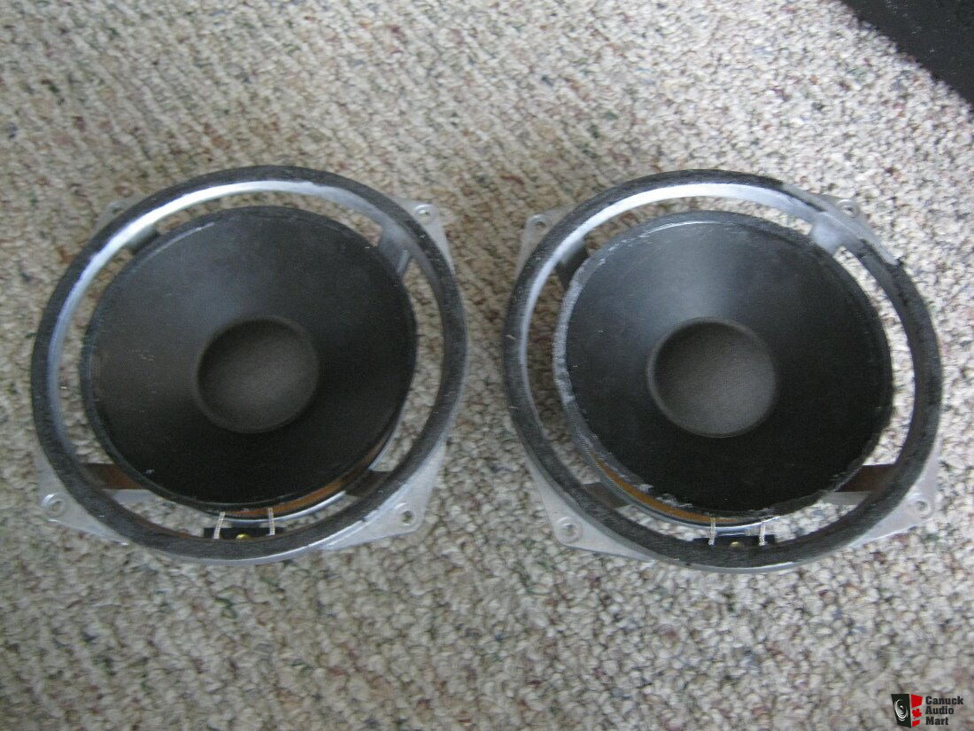 Component Parts Salvaged from Paradigm Titan Speakers Photo #1328197 ...