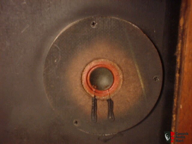 EPI (EPICURE) M100 STEREO SPEAKERS Photo #129426 - US Audio Mart
