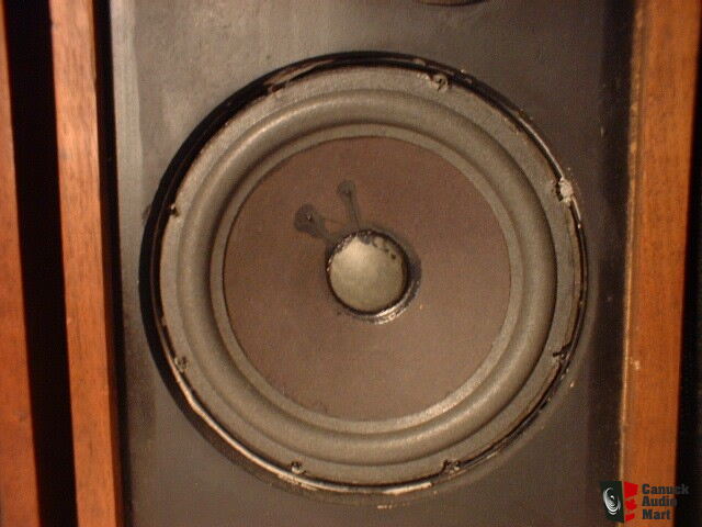 EPI (EPICURE) M100 STEREO SPEAKERS Photo #129426 - Canuck Audio Mart