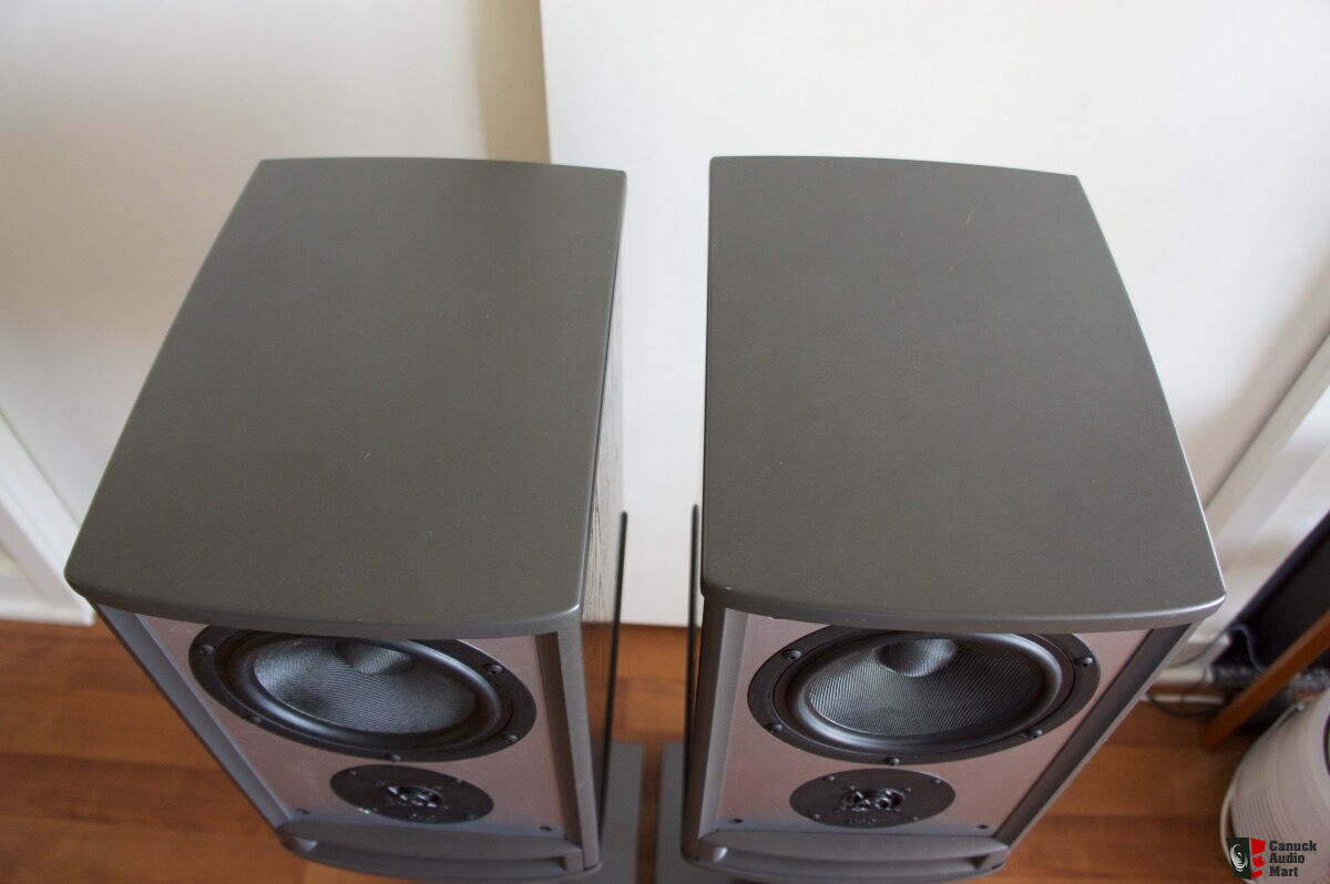 PSB Platinum M2 Black Ash w/Matching Stands Photo #1304110 - Canuck ...
