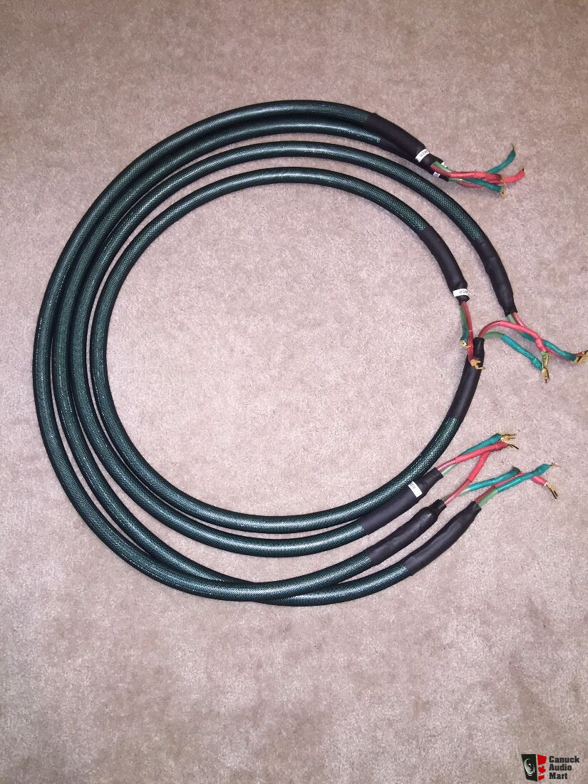 Neotech NES-3002 UP-OCC Speaker Cable For Sale - Canuck Audio Mart