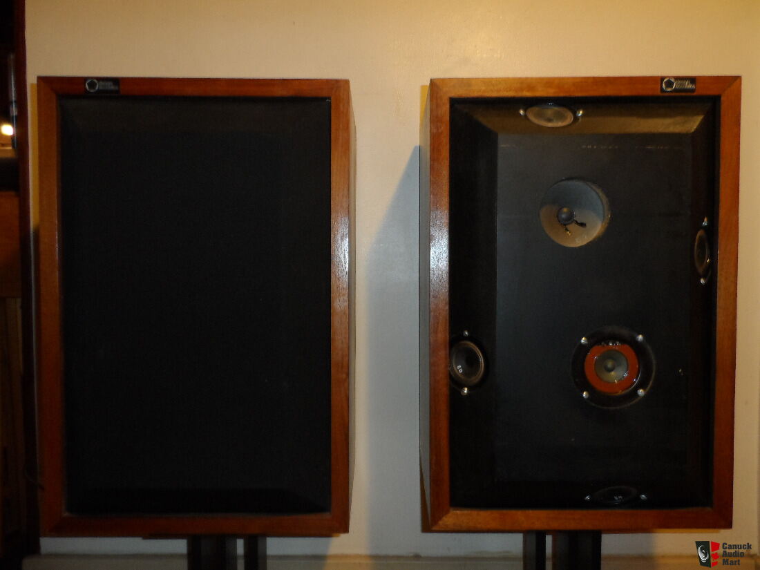 Design Acoustics D-6 Speakers Photo #1346846 - Canuck Audio Mart
