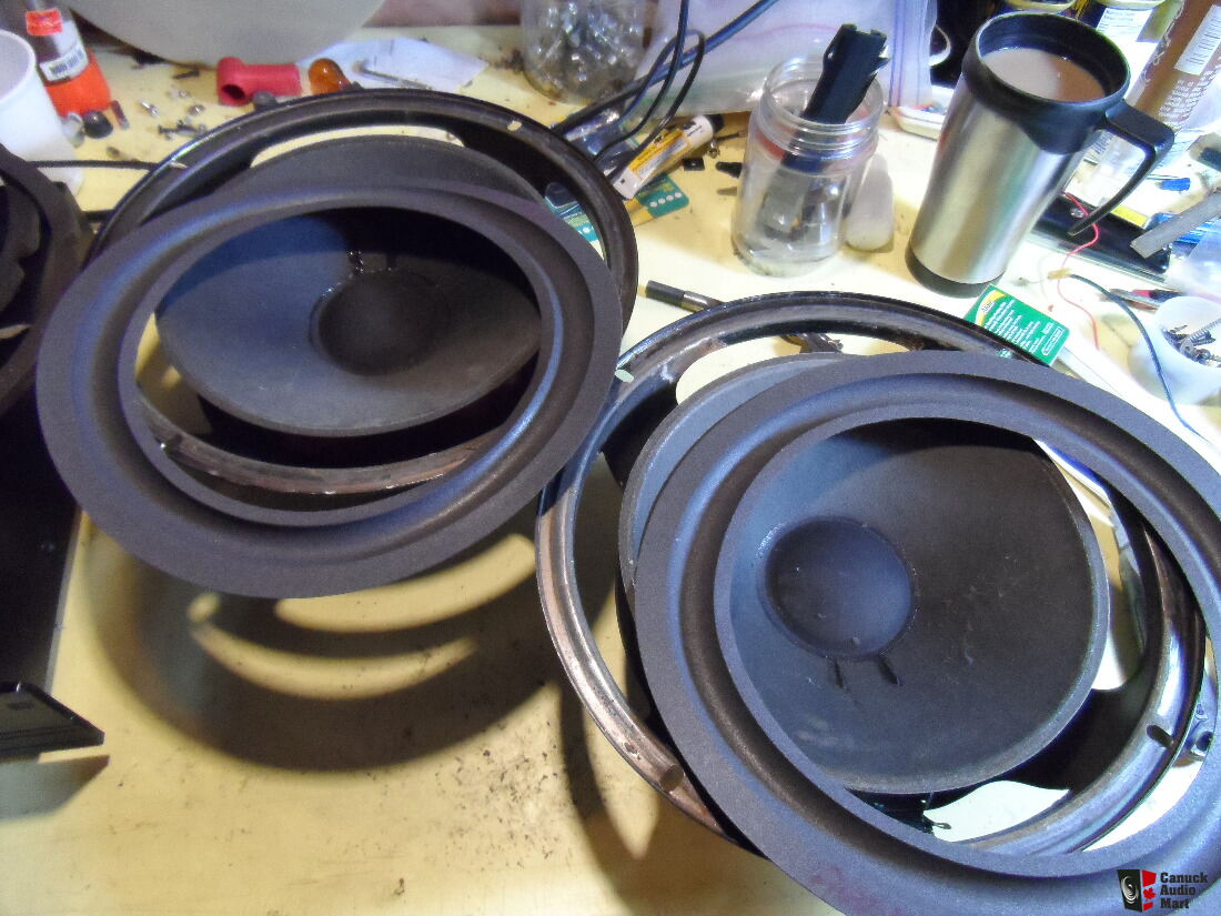 Design Acoustics D-6 Speakers Photo #1346840 - US Audio Mart
