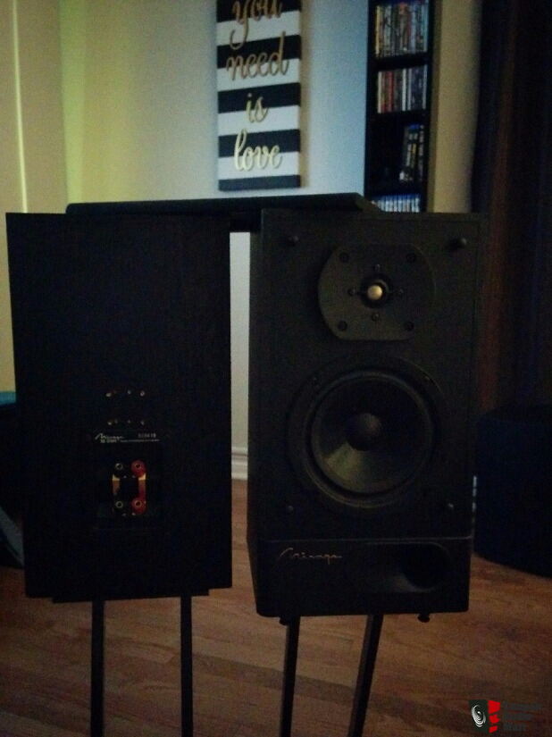Mirage M-290 For Sale - Canuck Audio Mart