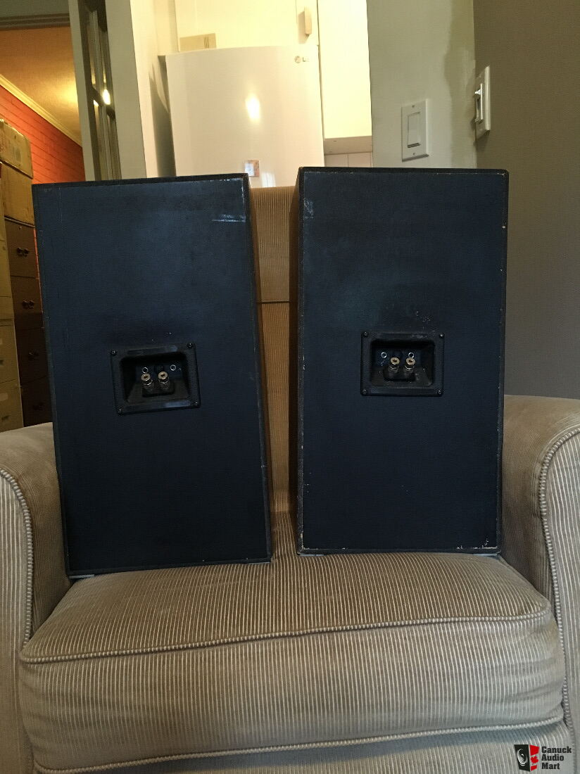 Angstrom T-2 Monitor bookshelf loudspeaker - w/ Cardas posts Photo ...