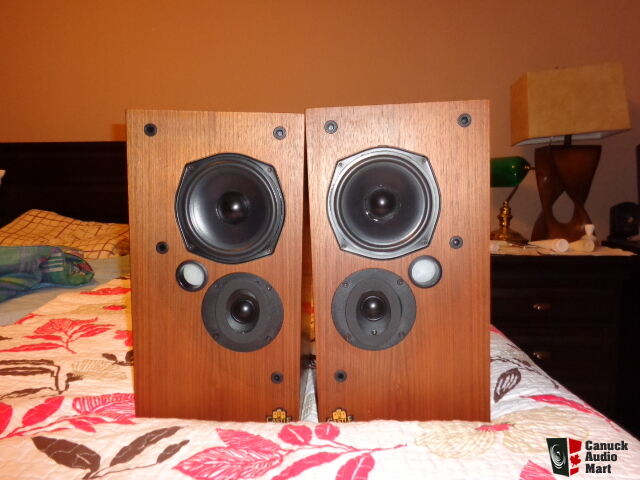 Castle Durham 900 bookshelf speakers For Sale - Canuck Audio Mart