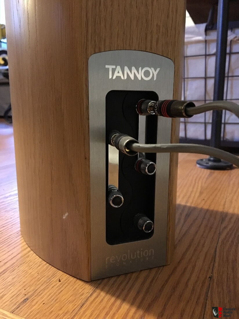 Tannoy Revolution DC4 Signature Photo #1385420 - Canuck Audio Mart